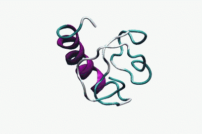 Home Page of Alessandro Laio | Research